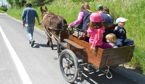 Trekking con gli asini ai piedi dei Monti Sibillini